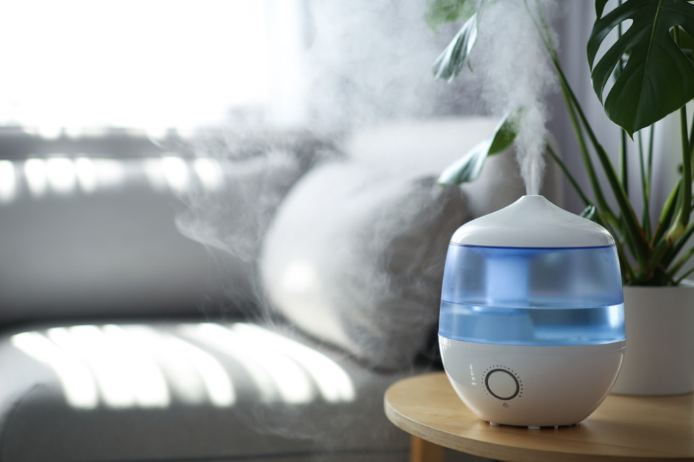 Awas Salah Beli, Ini Perbedaan Purifier dan Humidifier